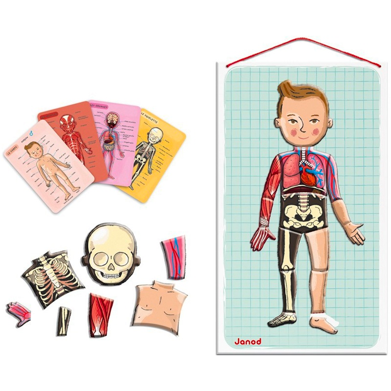 Janod Bodymagnet Activity Set – Little Earth Nest